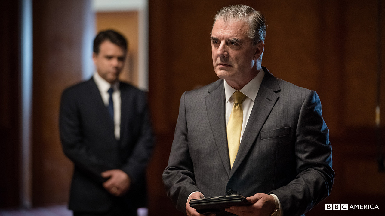 Arachnids in the UK: new information and photos