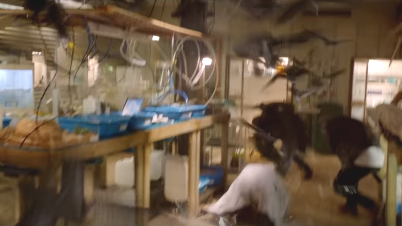 Doctor Who, Praxeus: breakdown of the trailers