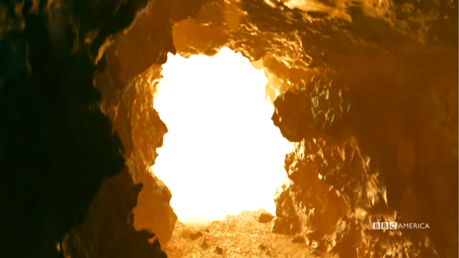 Doctor Who, Praxeus: breakdown of the trailers