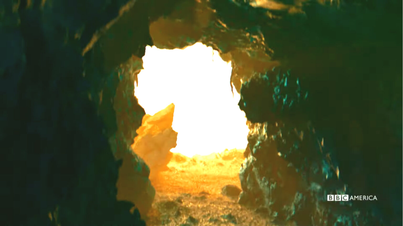 Doctor Who, Praxeus: breakdown of the trailers