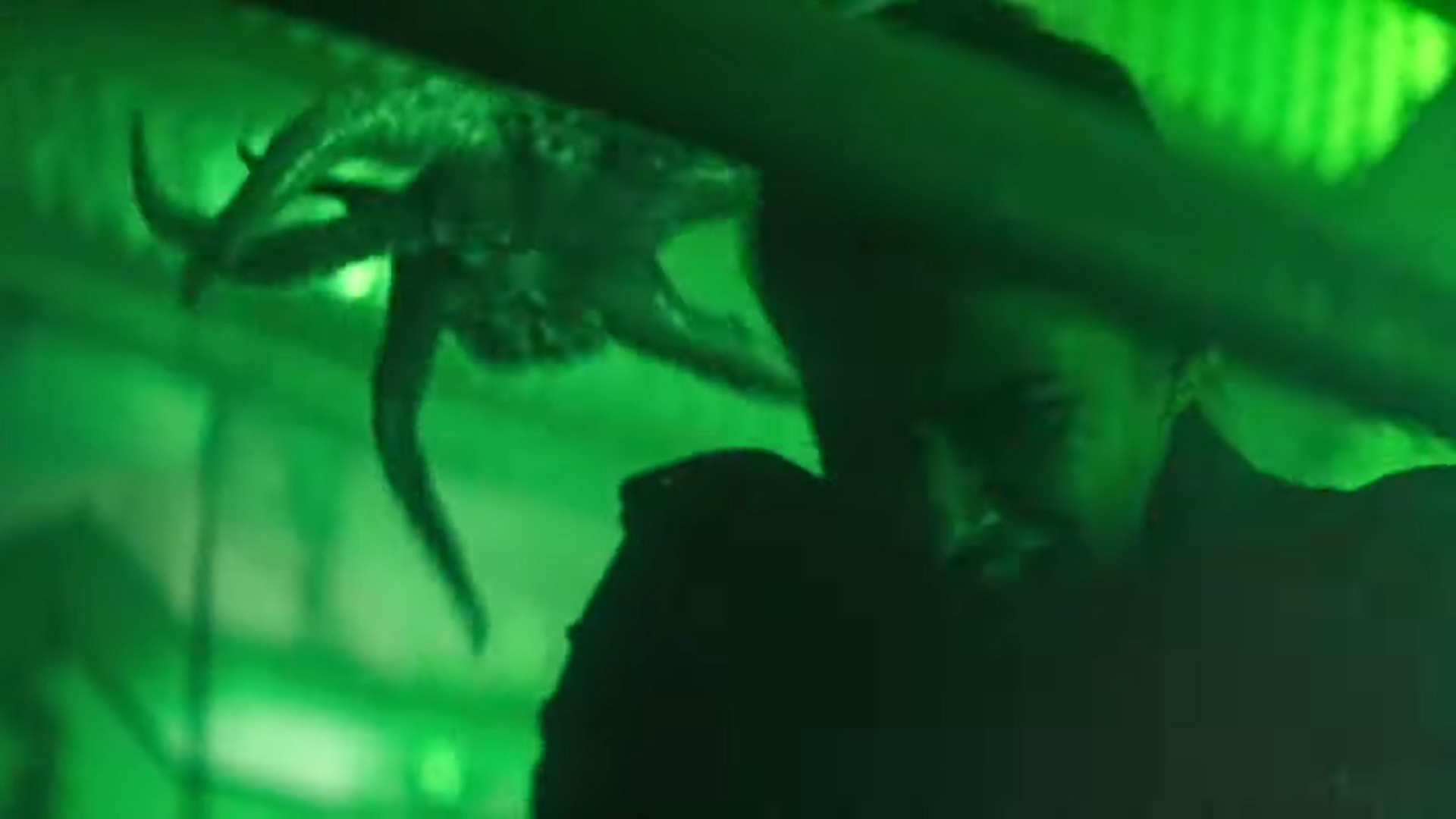 Revolution of the Daleks: new information from Doctor Who Magazine