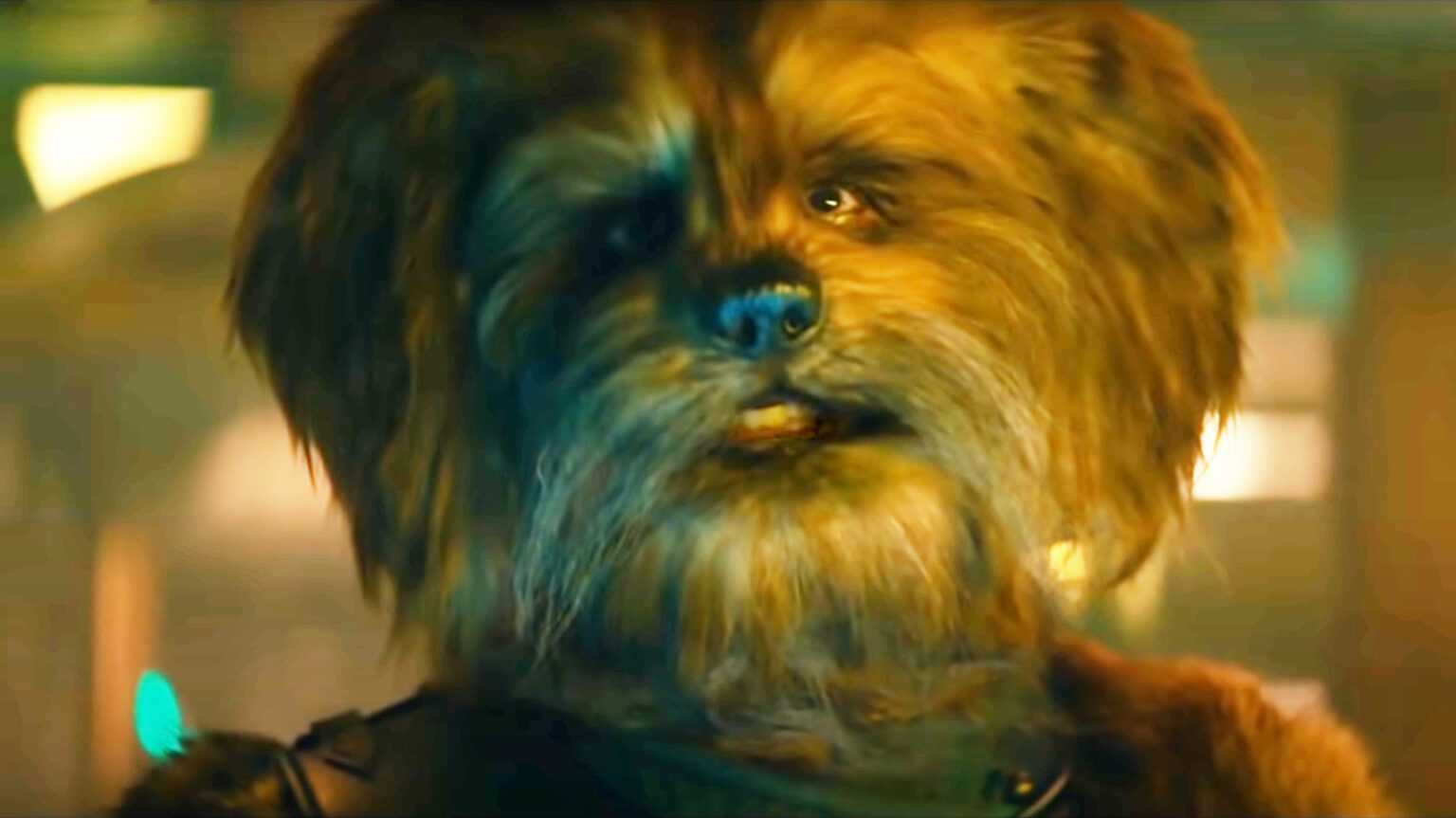 Doctor Who: Survivors of the Flux – trailer and image breakdown