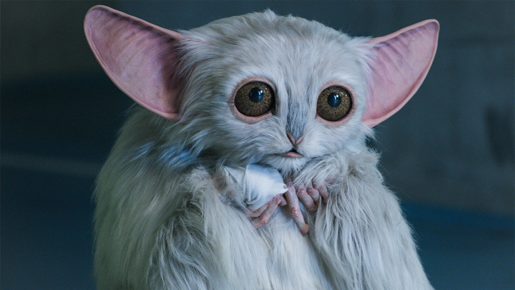 Doctor Who 'The Star Beast' UK air time announced